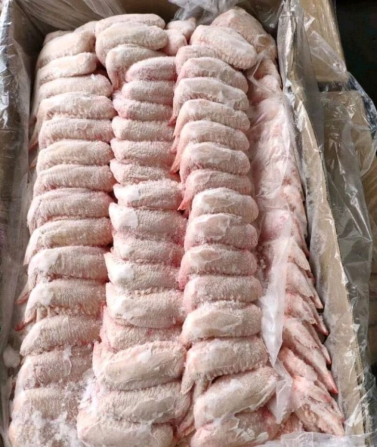 Frozen 2 Joint Wing | MCD Global Concepts GmbH