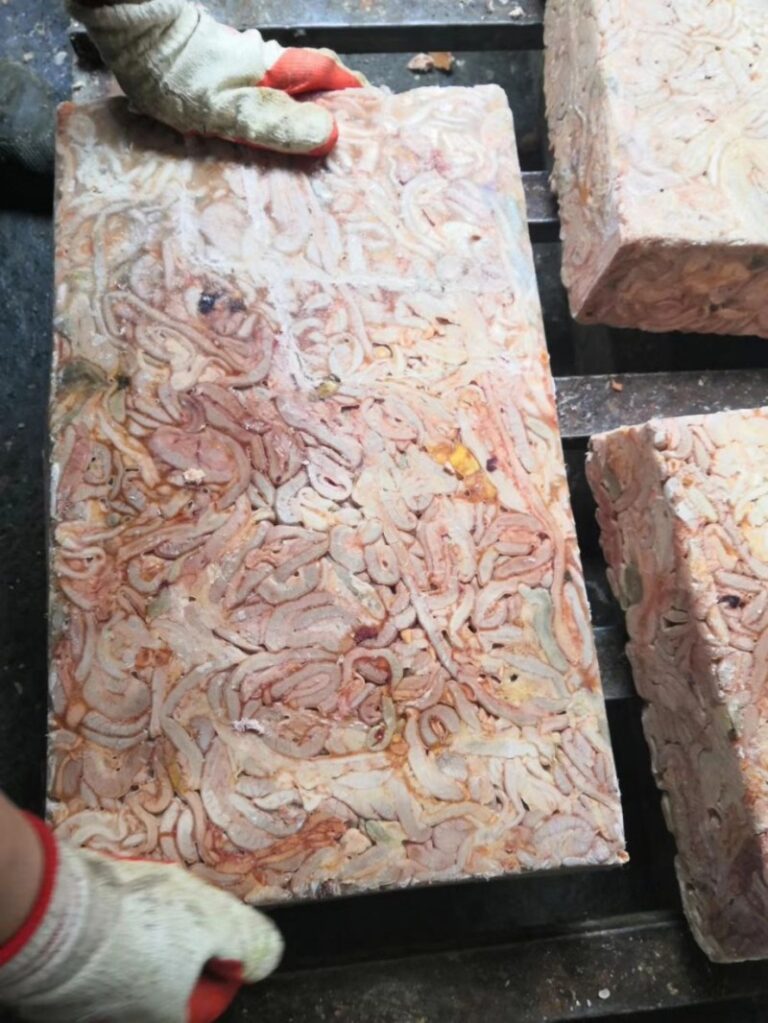 Frozen Chicken Intestines | MCD Global Concepts GmbH